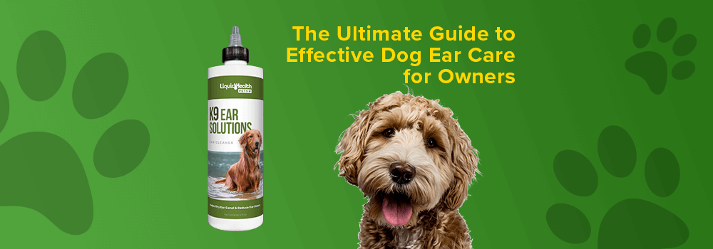 The Ultimate Guide to Effective Dog Ear Care for Owners — Liquid Health ...